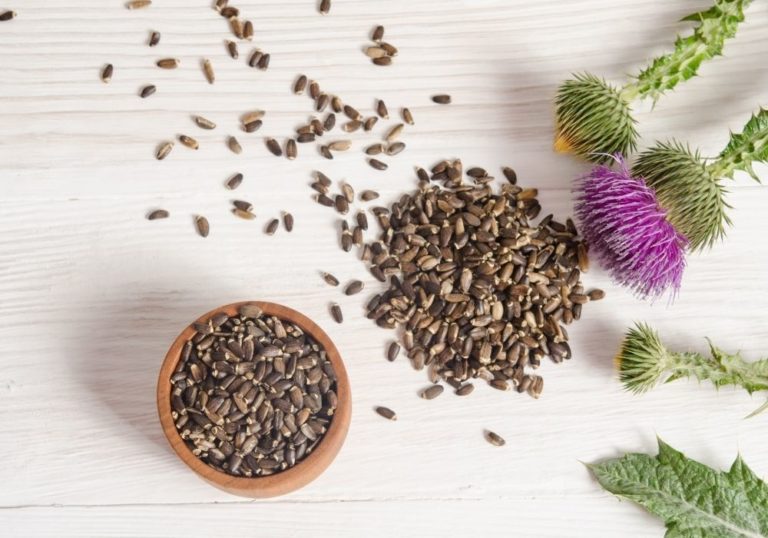 9 Supplementen Die Jouw Lever Ondersteunen en Beschermen - Elkehaptelt